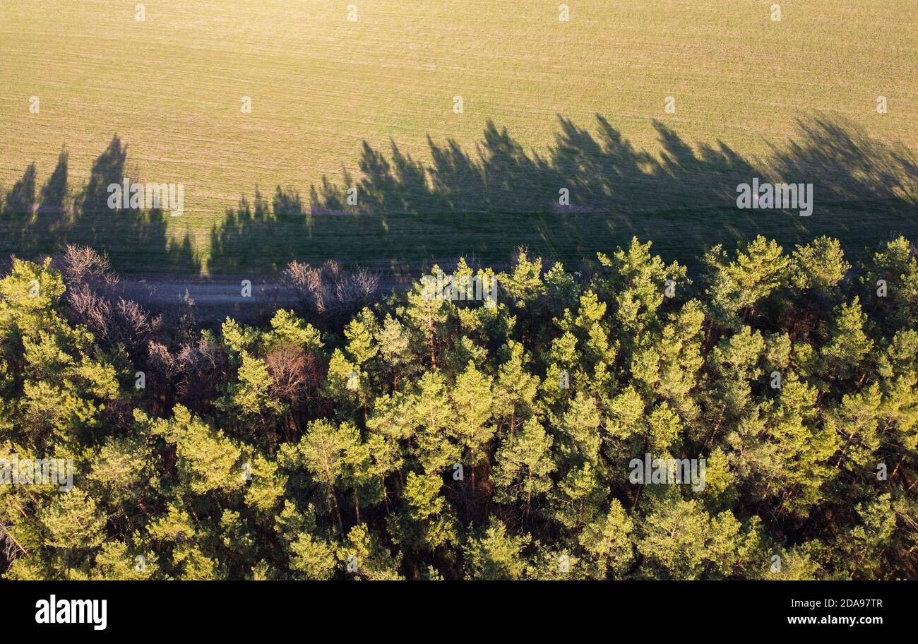 Aerial view green field fir hi-res stock photography and images - Alamy