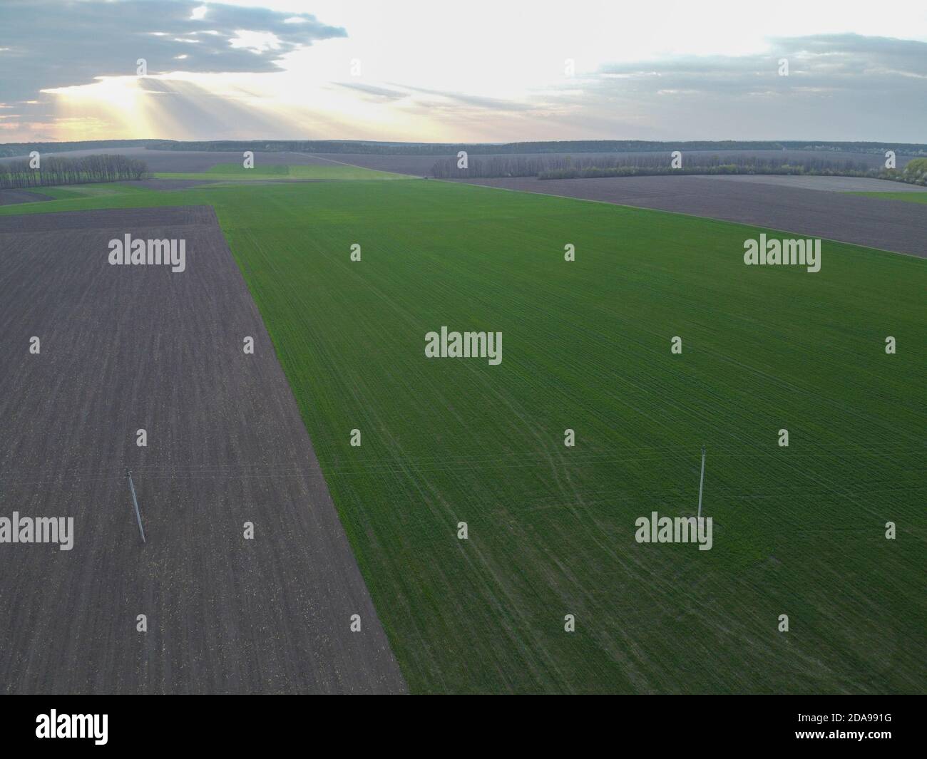 Sun leaves and crops hi-res stock photography and images - Alamy