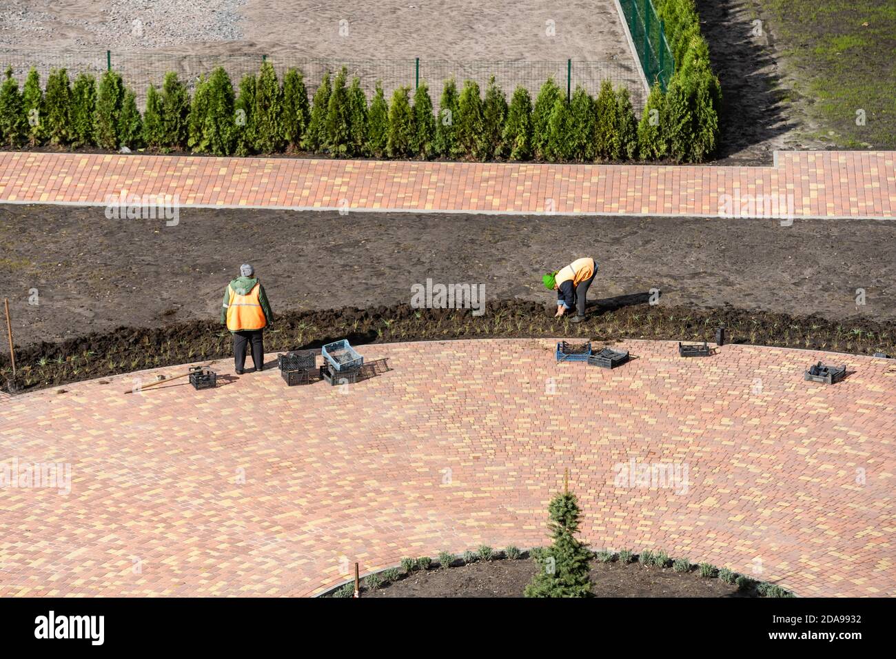 Planting trees in autumn in the city park. Using stake to help it grow ...
