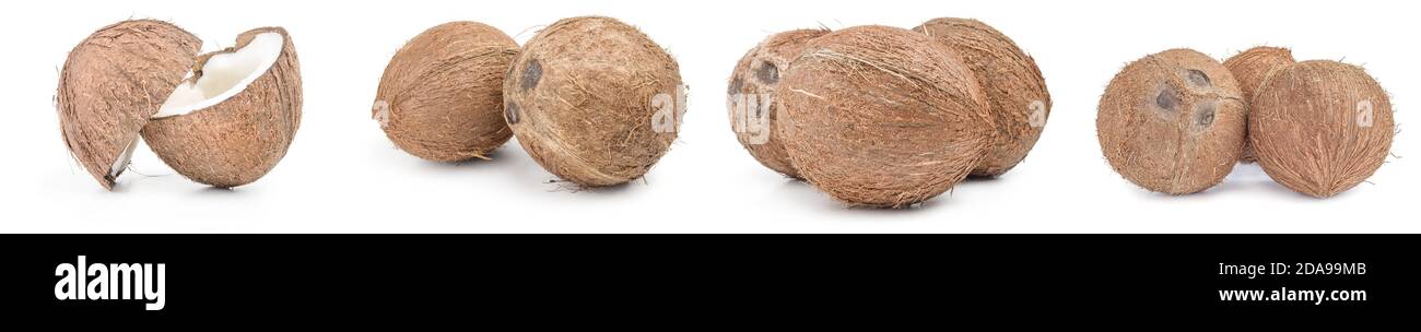 Group of coconut isolated on a white background Stock Photo - Alamy