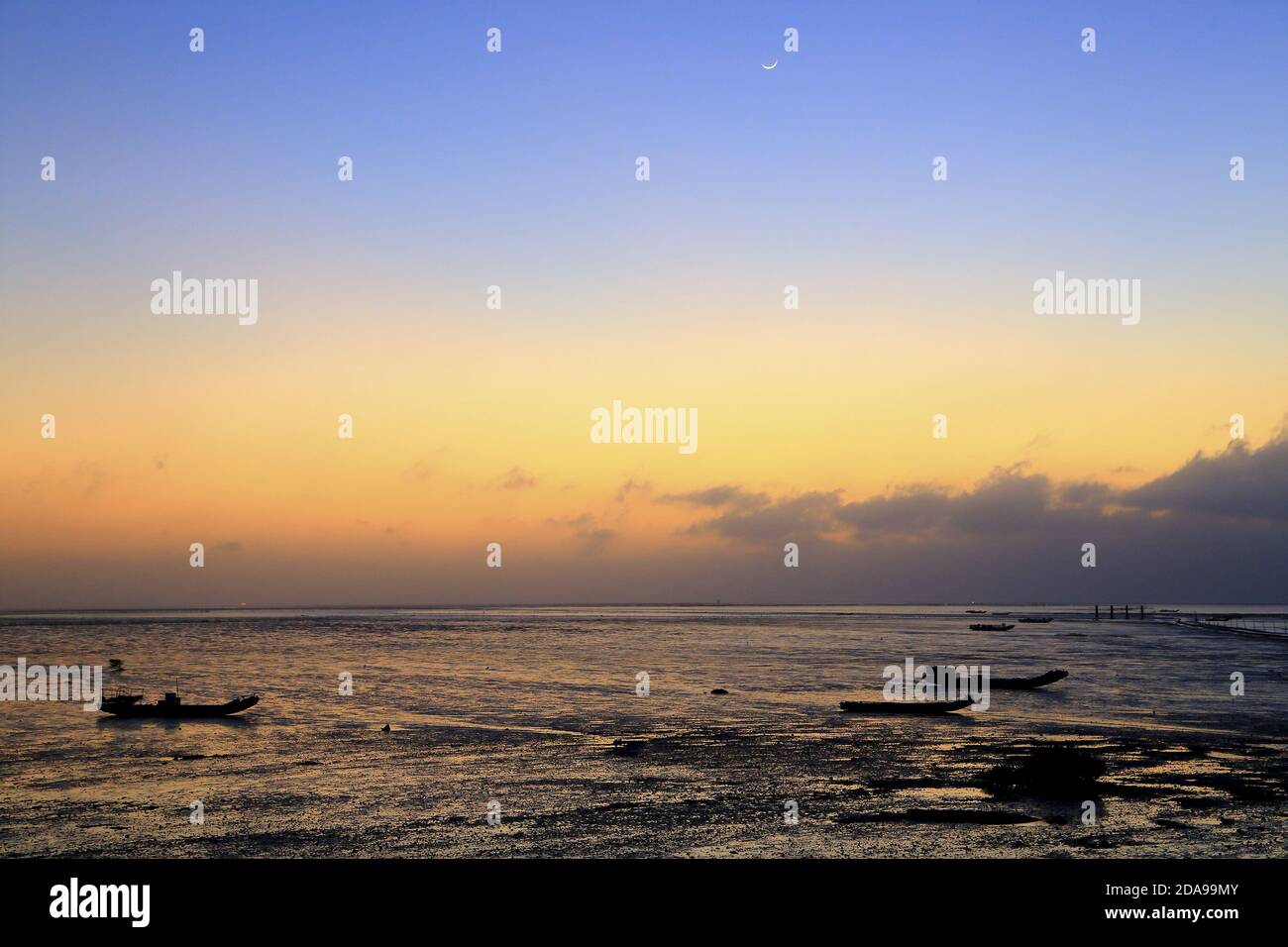 Changhua fangyuan coastal oyster hi-res stock photography and images ...