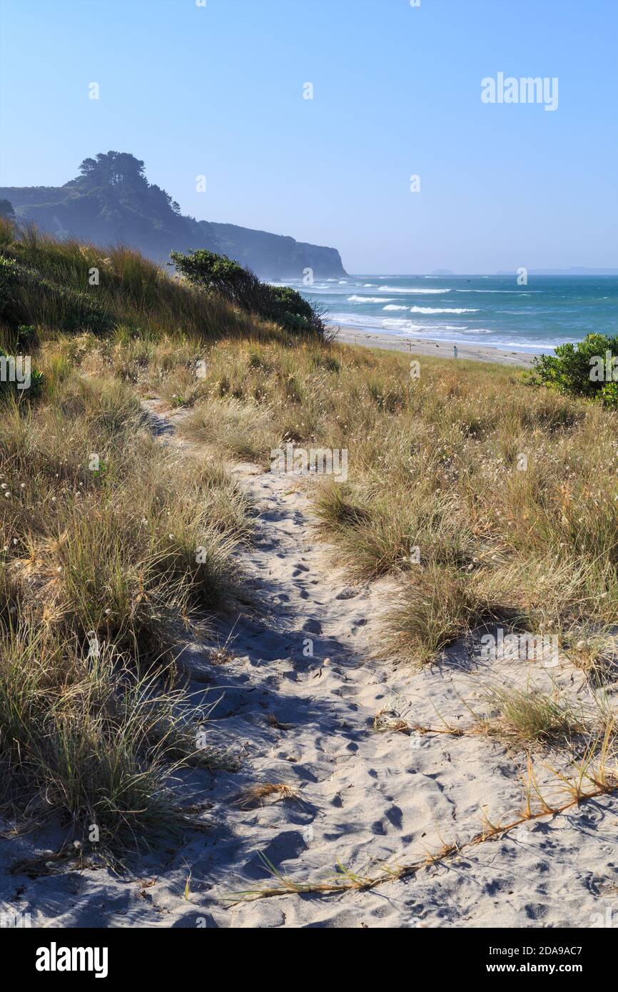 A sand pathway leading to the sea through delicate dune grasses ...