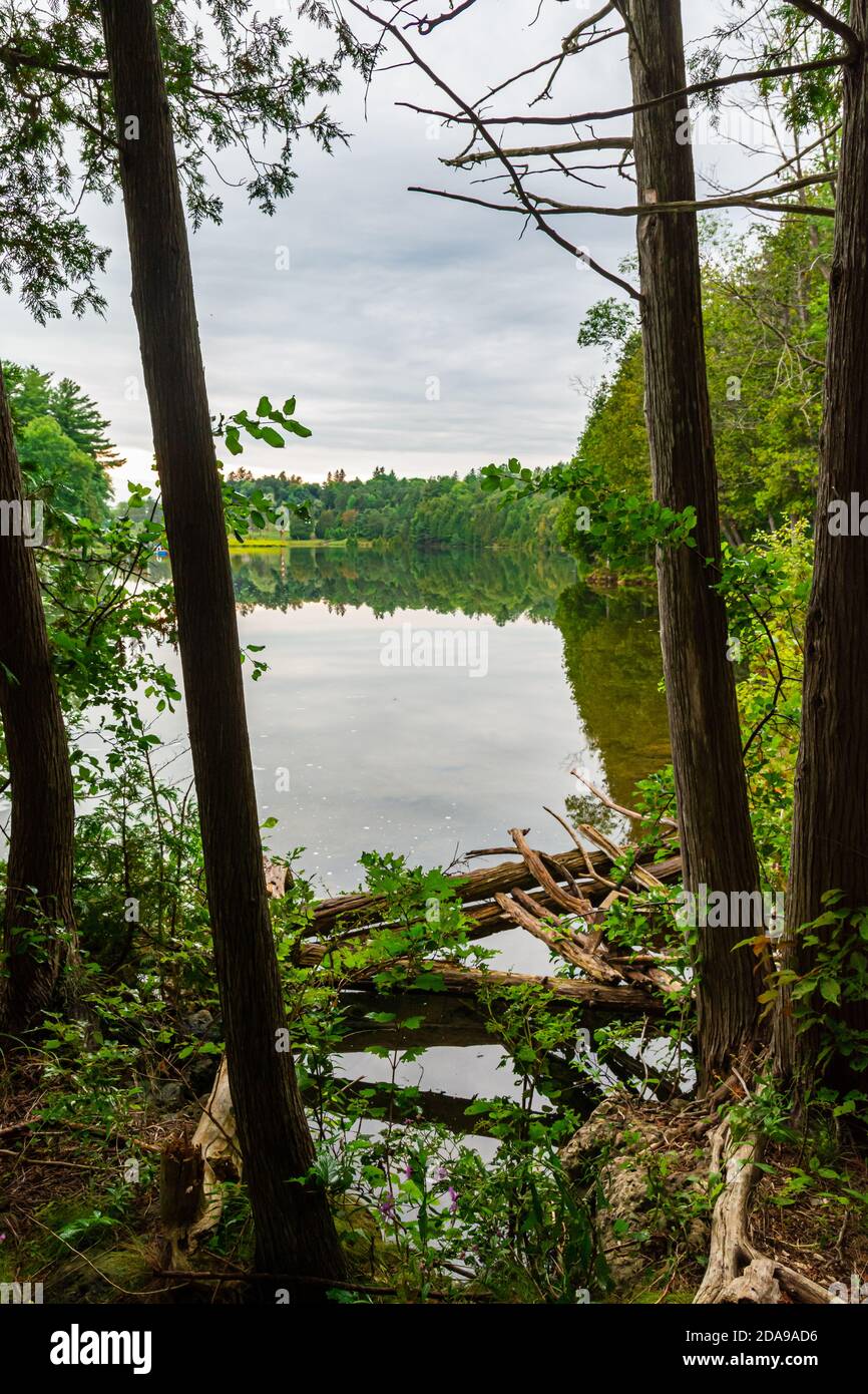McGowan Falls Conservation area Durham Ontario Canada Stock Photo - Alamy