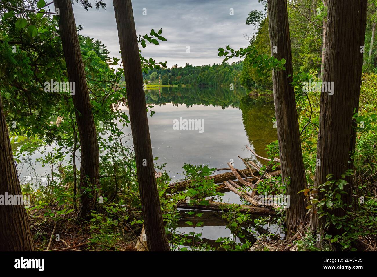 McGowan Falls Conservation area Durham Ontario Canada Stock Photo - Alamy