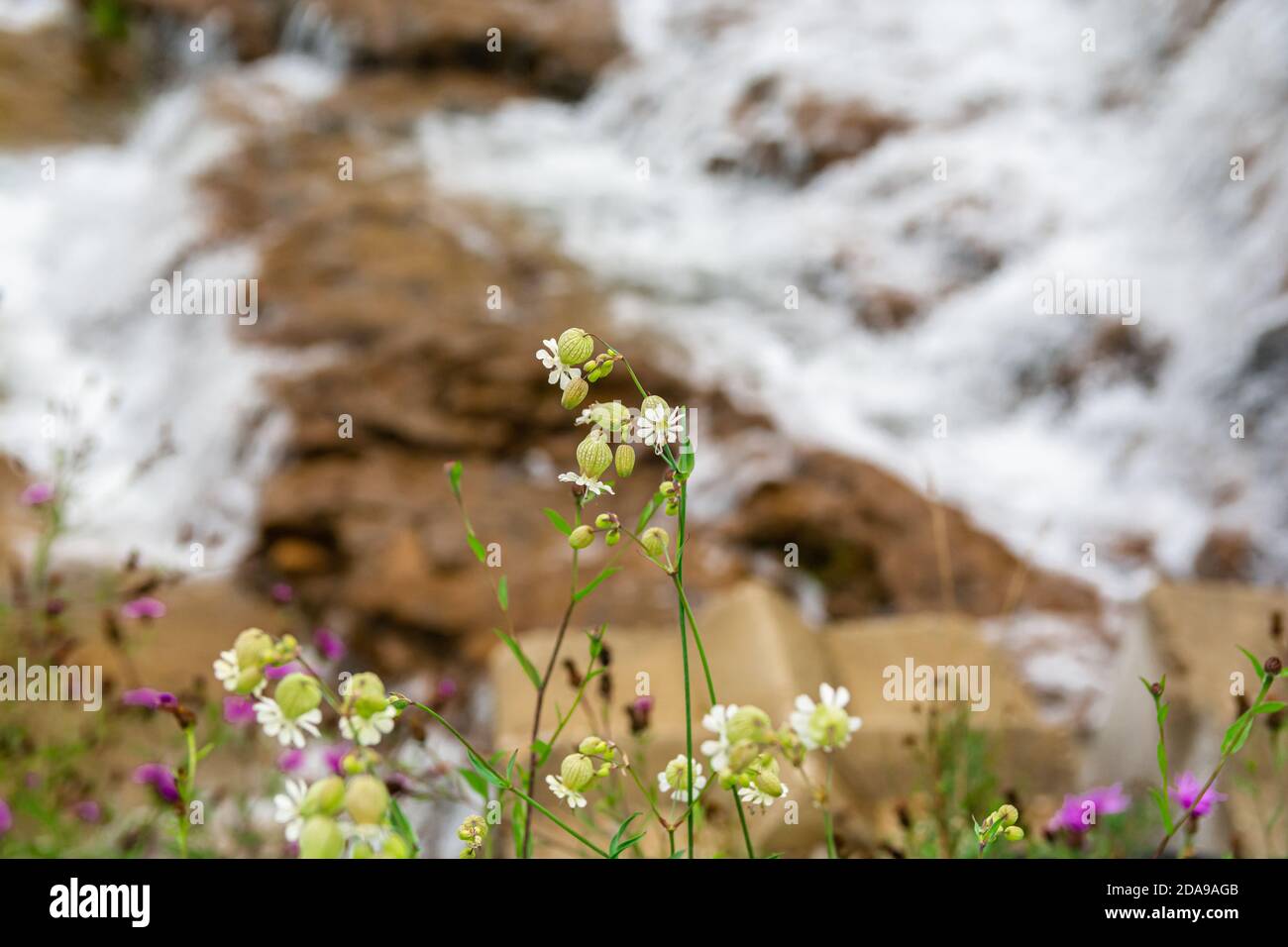 Durham Conservation Area and Hiking trail Stock Photo - Alamy