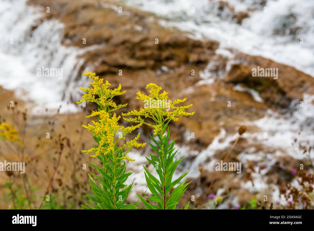 Durham Conservation Area and Hiking trail Stock Photo - Alamy