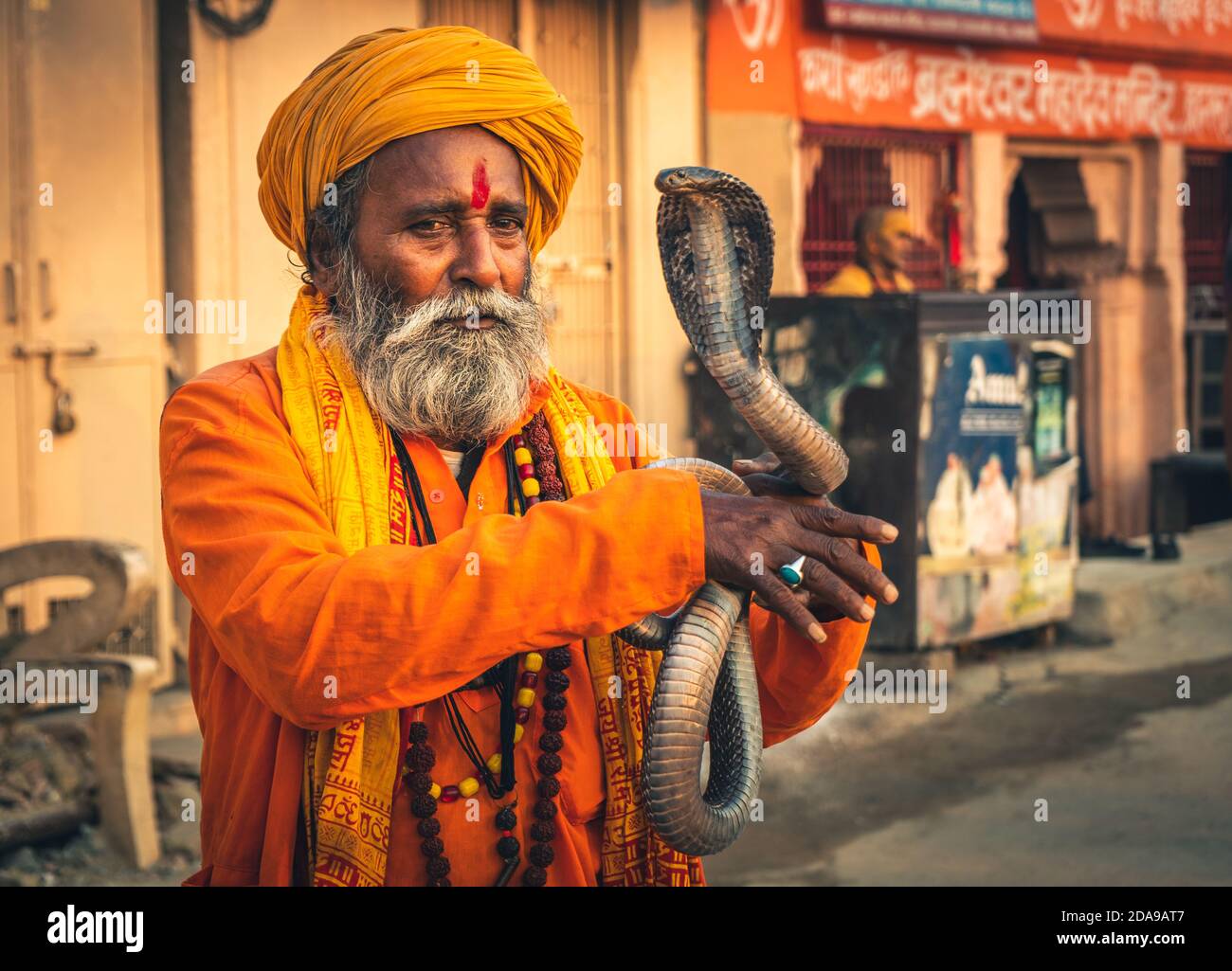 holy baba monk saint hypnotize a snake cobra kundalini with flute on ...