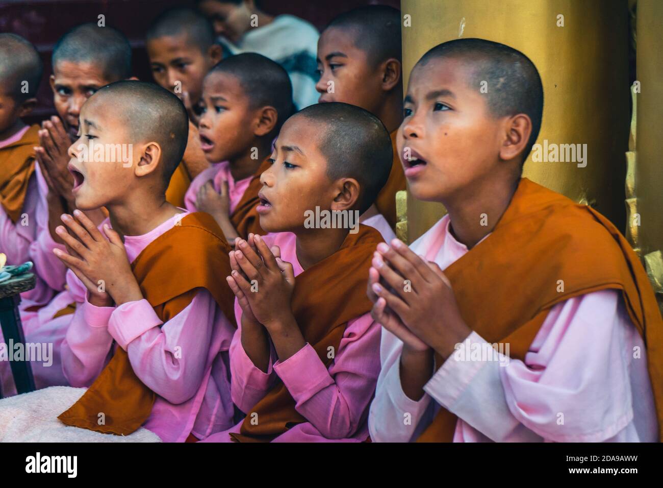 yangon myanmar Pagoda Shwedagon young monk and nuns reading a buddhist ...