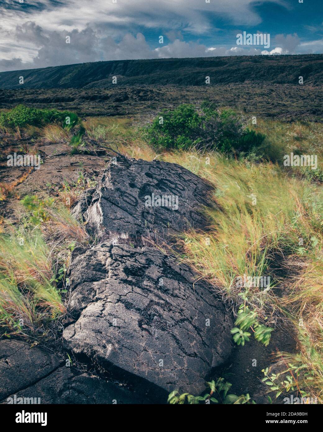 Puu Loa Petroglyphs Stock Photo - Alamy