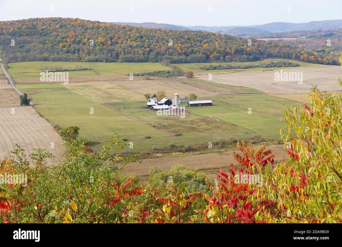 The distance view of a farm surrounded by striking color of fall ...