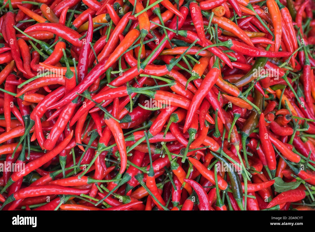 A pile of red chilli pepper use for background Stock Photo - Alamy