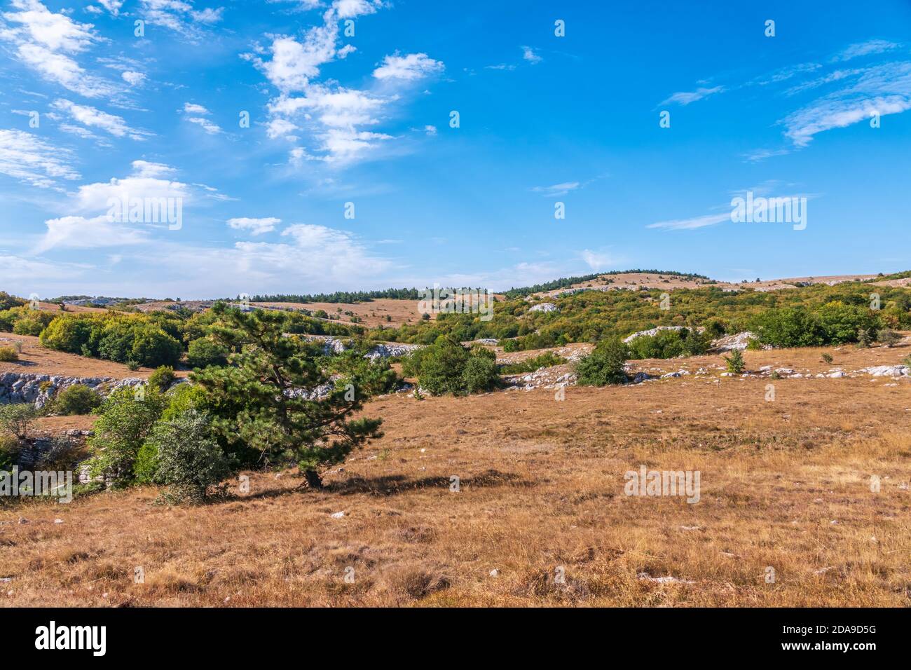 Bright autumn day in the mountains. Steppe landscape on a mountain ...