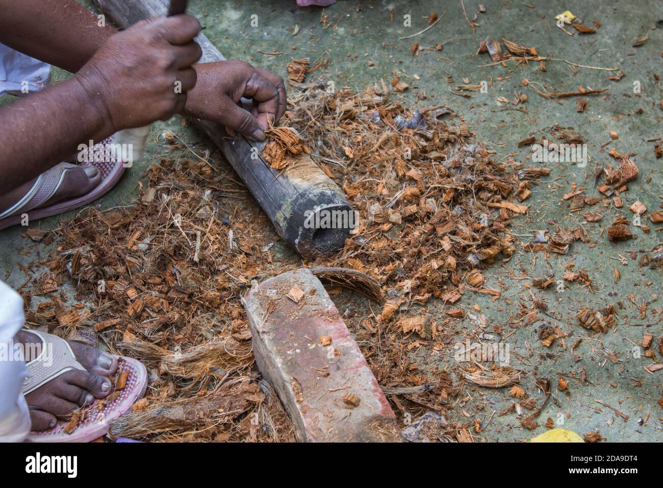 Local indian man chopping coconut husk and wood with katari(indian ...