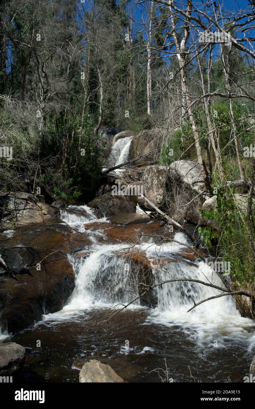 Murrindindi scenic reserve hi-res stock photography and images - Alamy