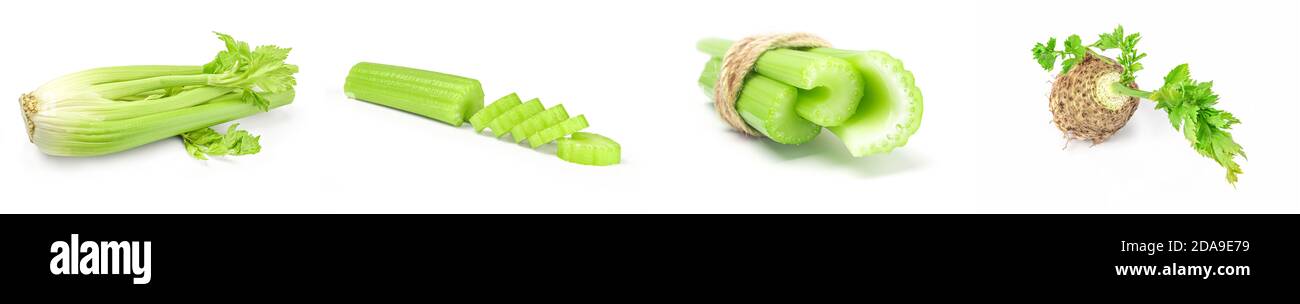 Group of celery on a isolated white background Stock Photo - Alamy