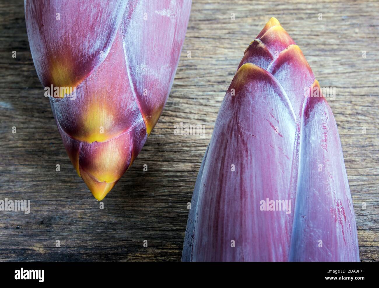 Texture and vivid color of Silver bluggoe banana blossom Stock Photo ...