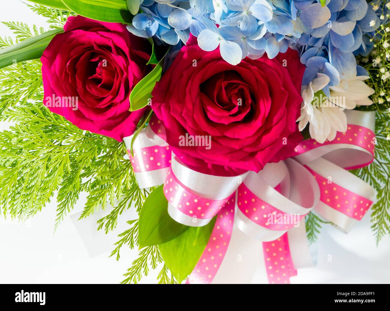 Big red roses and small blue fragile flowers insert leaves in the ...