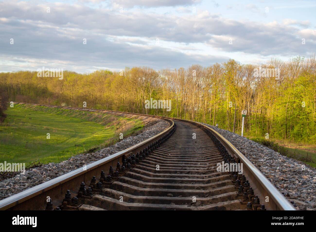 Railways in the city, nature and tree planting on both sides Stock ...