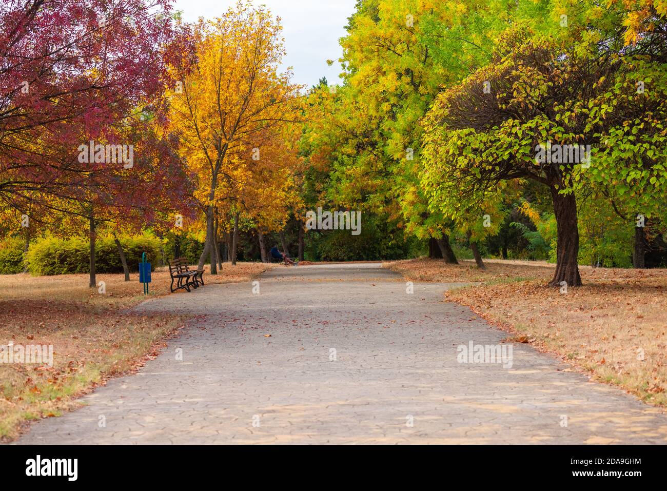Autumn landscape in a city park Stock Photo - Alamy
