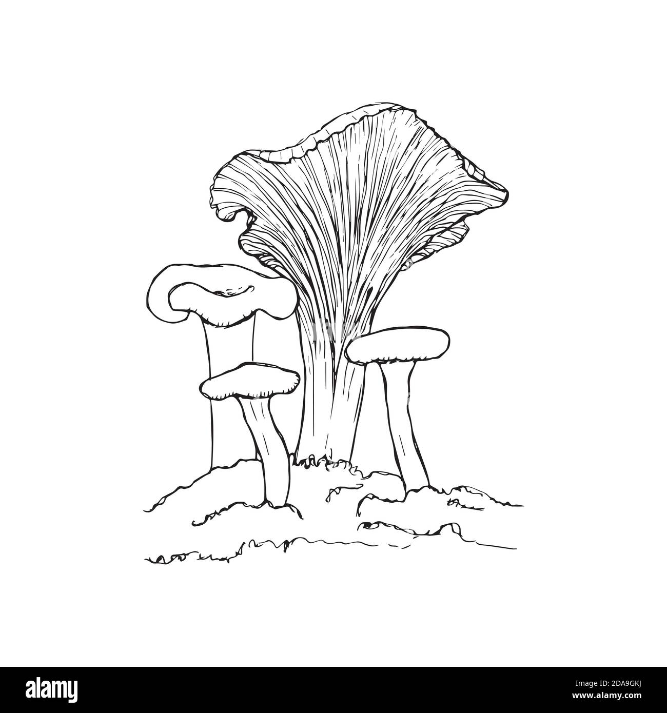 Autumn wildlife food Black and White Stock Photos & Images - Alamy