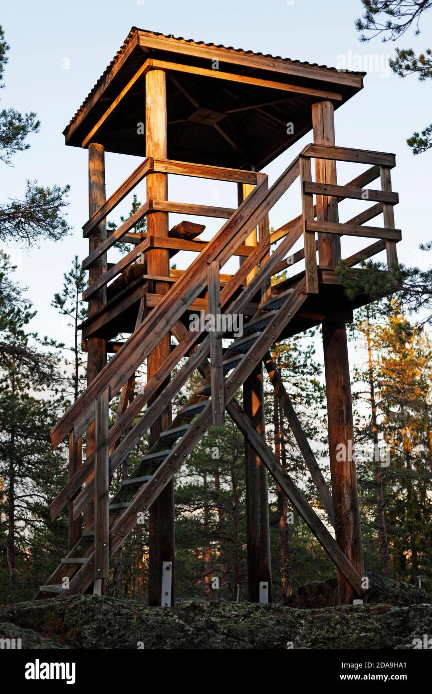 Tower in the woods hi-res stock photography and images - Alamy