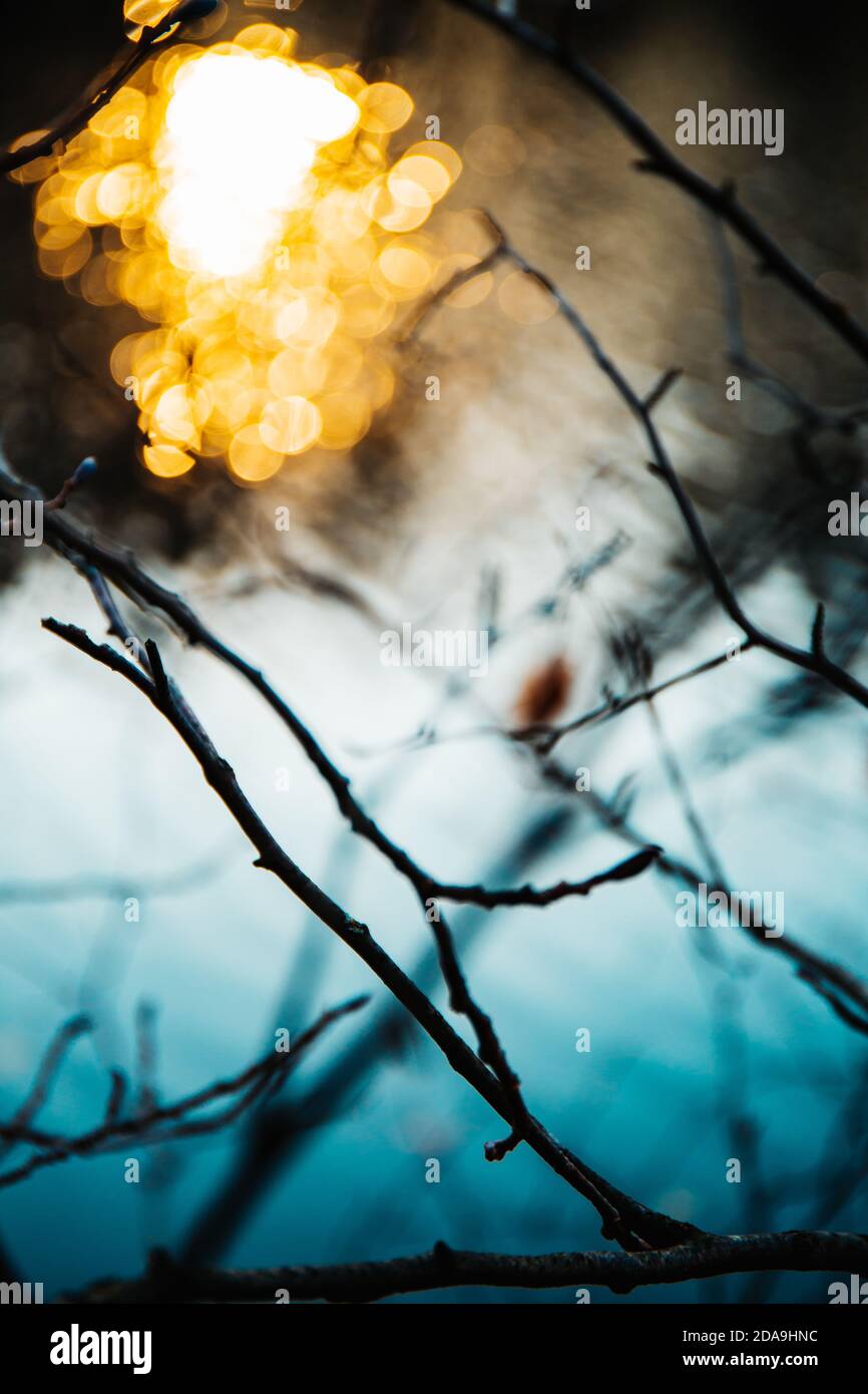 Moody abstract nature photography of fallen leaf on dark water with ...