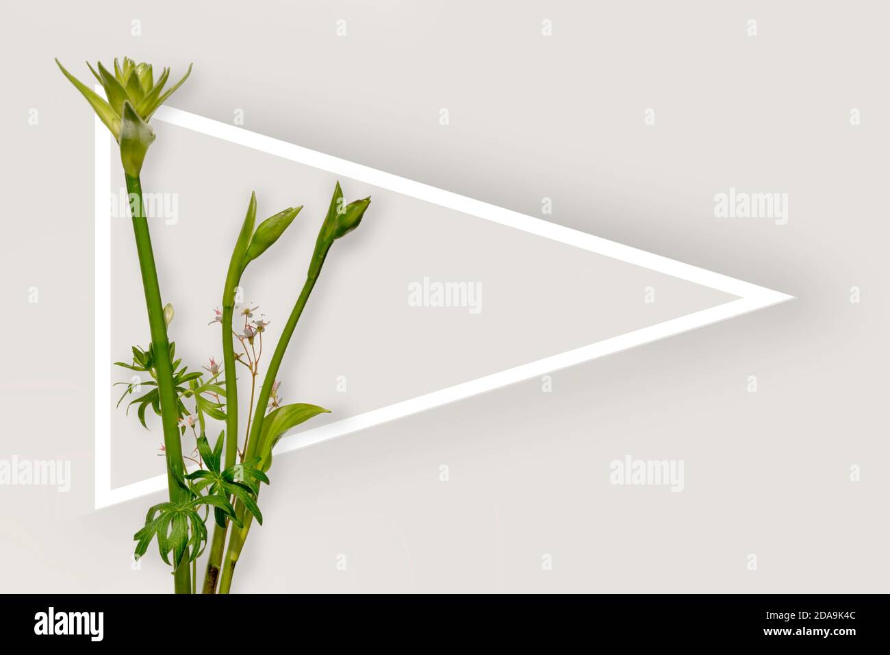 Triangular stems hi-res stock photography and images - Alamy