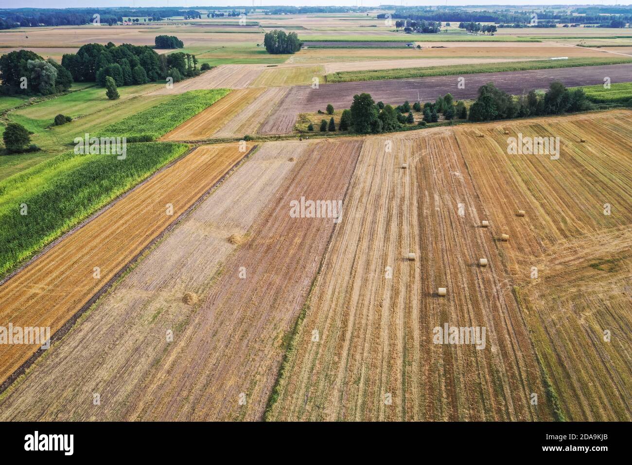 Aerial view maize rye hi-res stock photography and images - Alamy