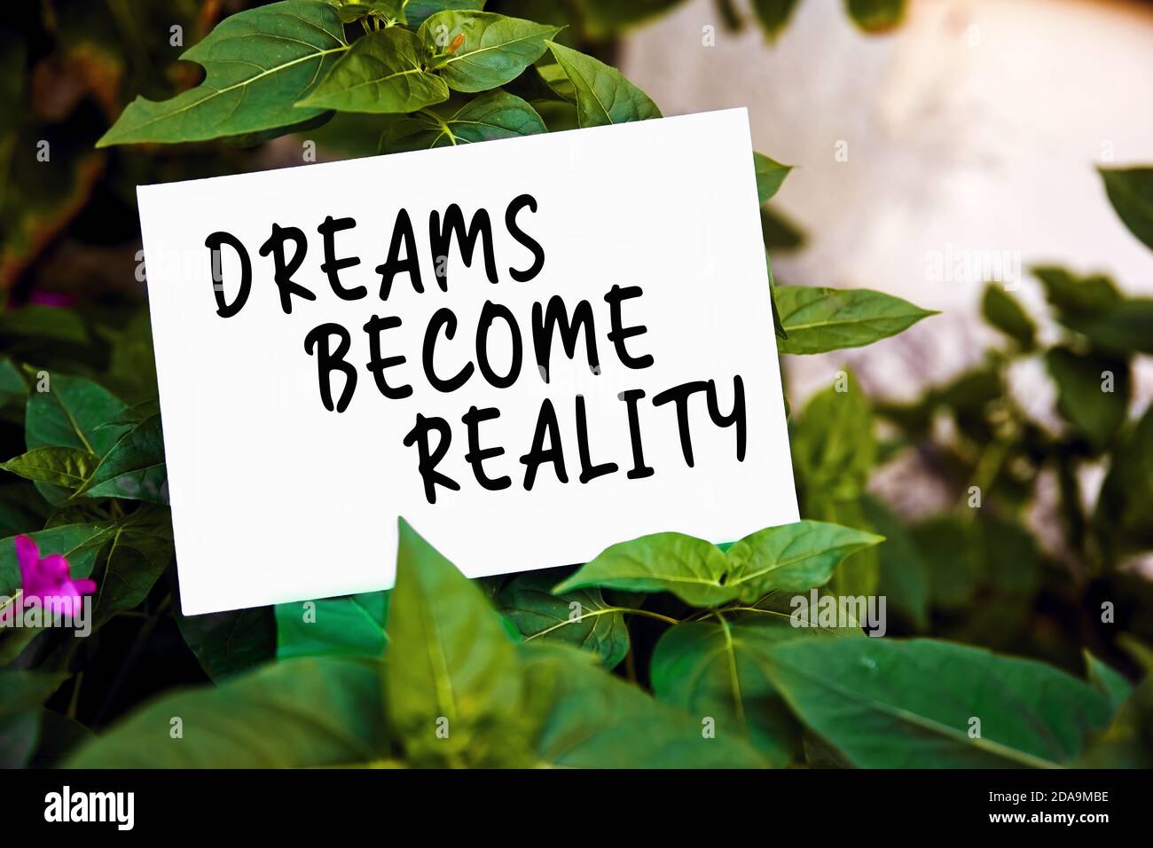 Dreams become reality motivational message written on paper on green ...