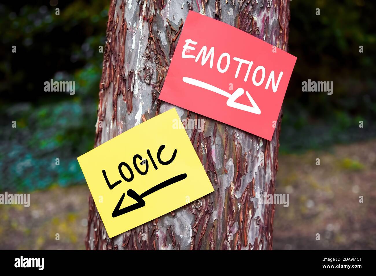 Emotion and logic words written on papers on a tree with arrow signs ...
