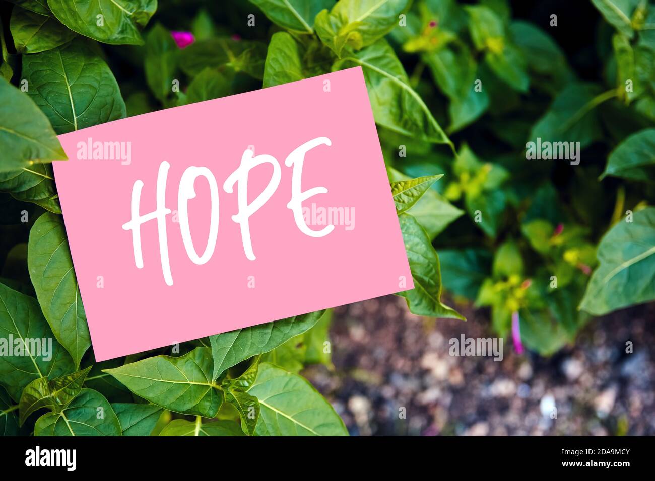 Hope written hi-res stock photography and images - Alamy