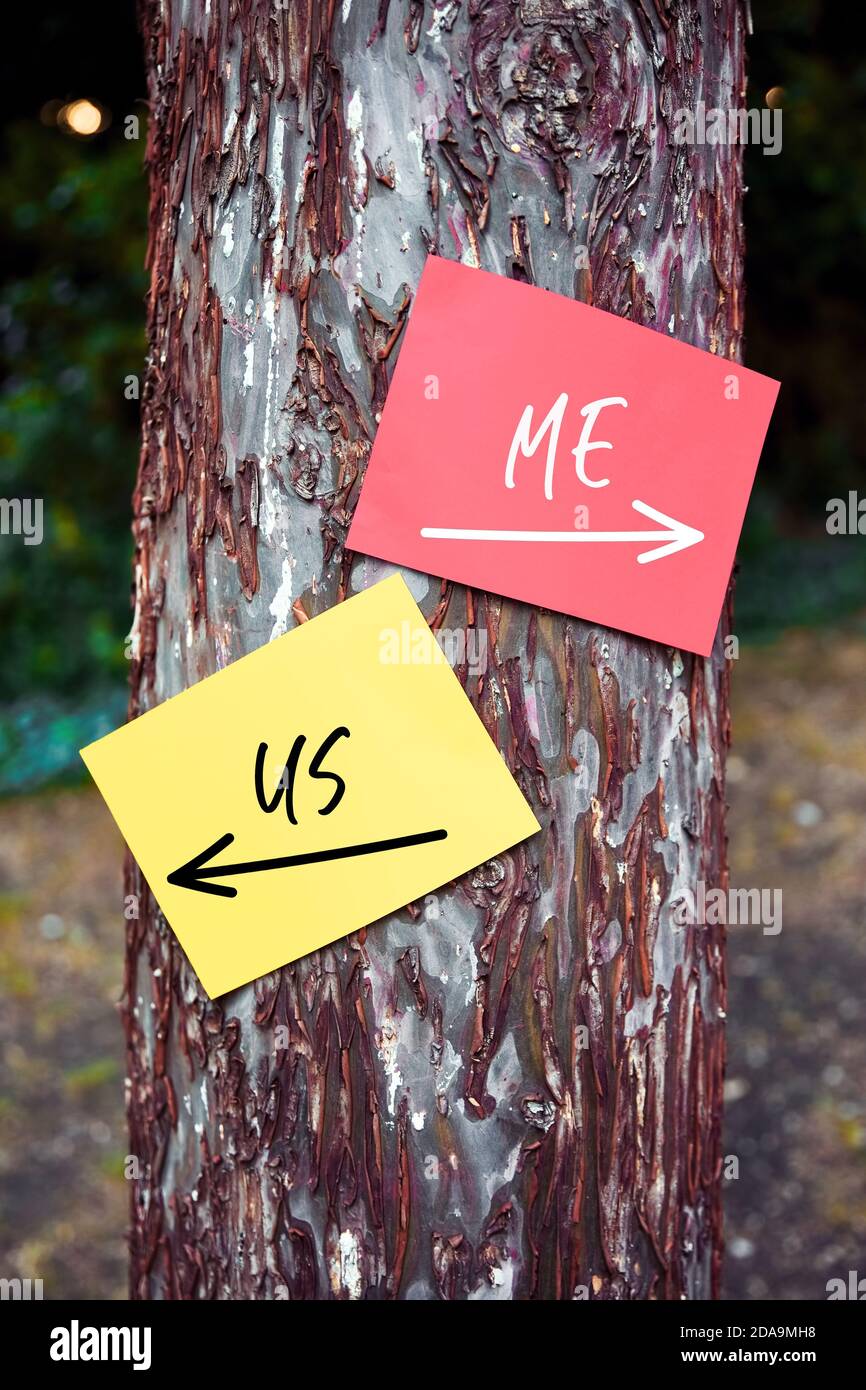 Me versus us words written on papers on a tree with arrow signs ...