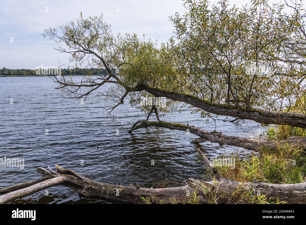 Smiala wisla hi-res stock photography and images - Alamy