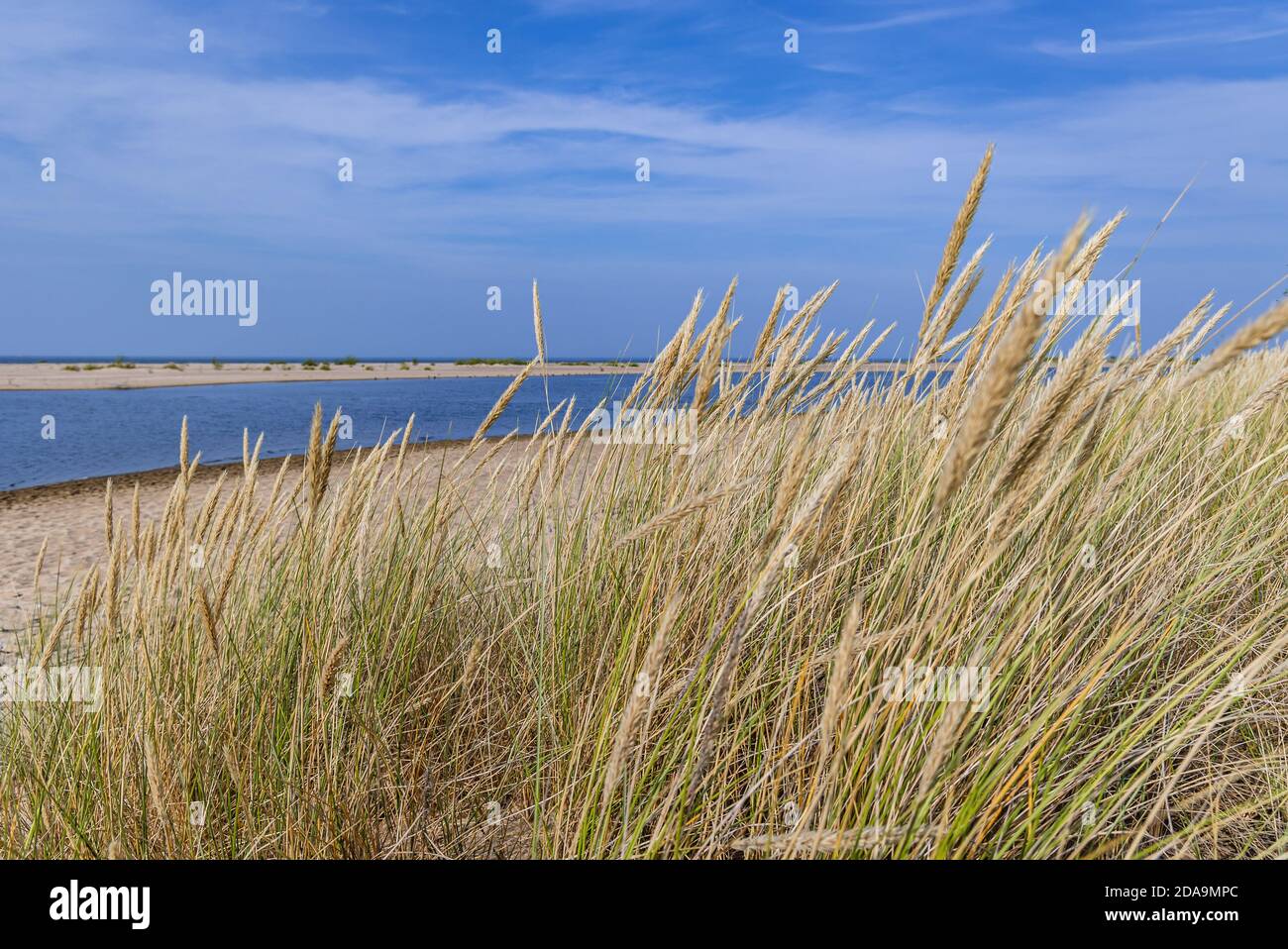 Beach on Sobieszewo Island over Bay of Gdansk in the Baltic Sea, Poland ...
