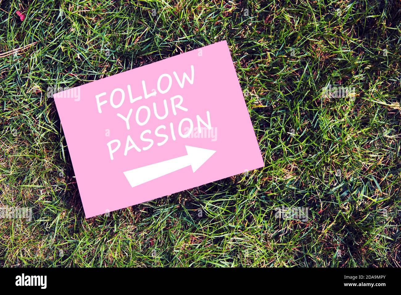 Follow your passion motivational quote written on pink paper on green ...