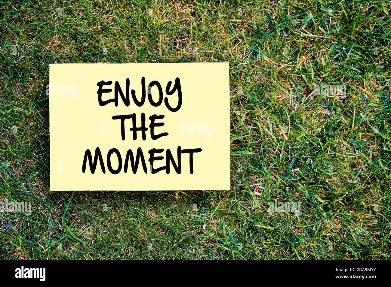 Enjoy the moment motivational message written on paper on green grass ...