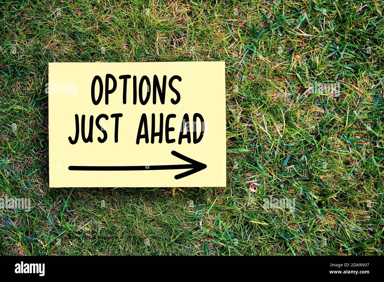 Options just ahead motivational message written on paper on green grass ...