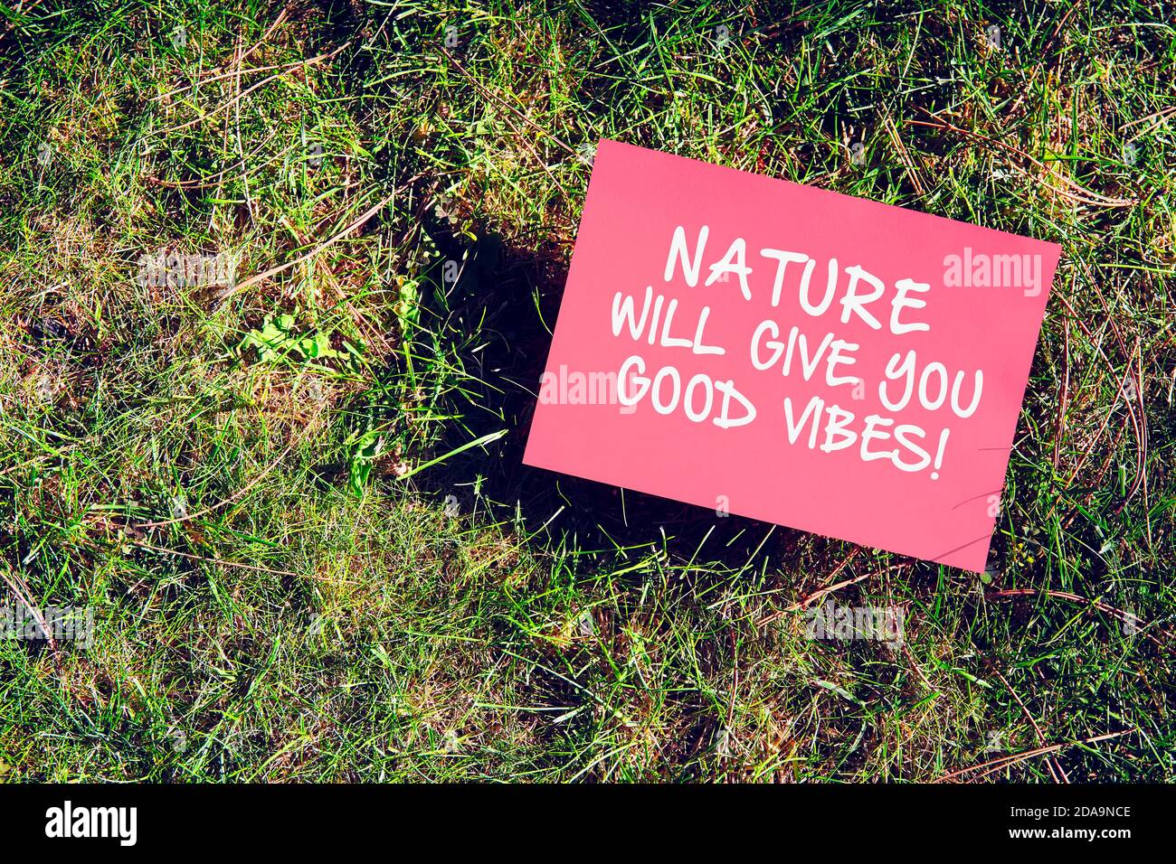 Nature will give you good vibes quote written on paper on grass ...