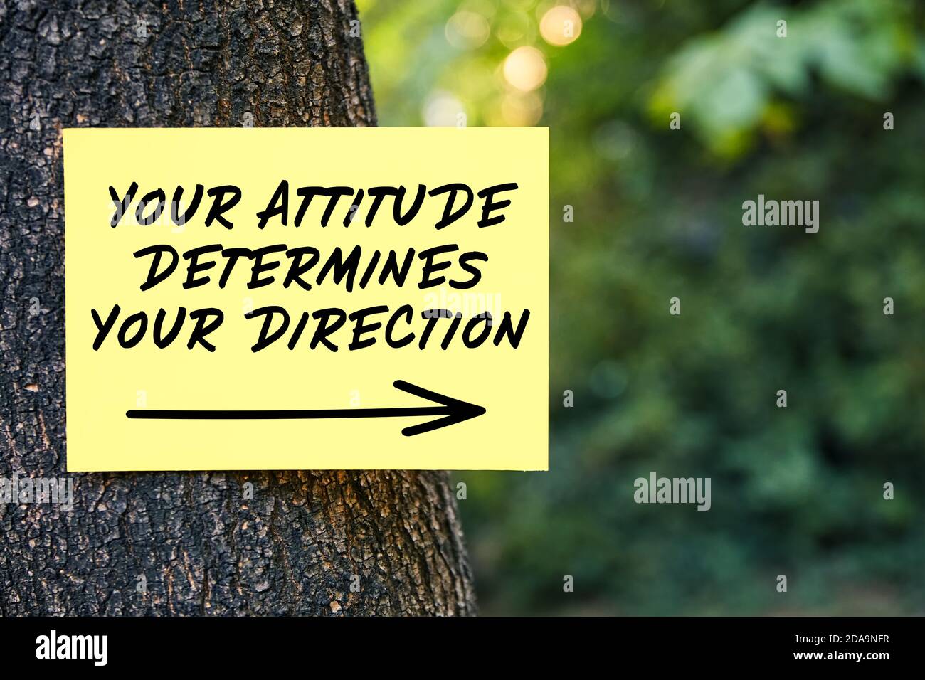 Your attitude determines your direction message written on paper on a ...
