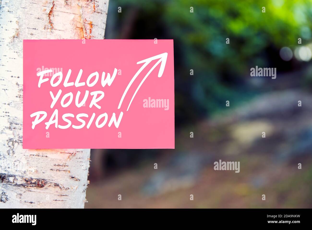 Passion guidance hi-res stock photography and images - Alamy