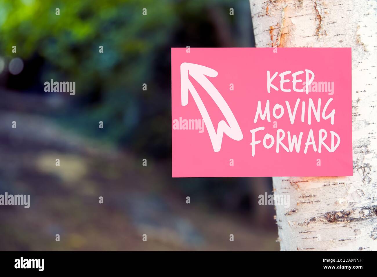 Keep moving forward inspirational quote written on paper on a tree in ...