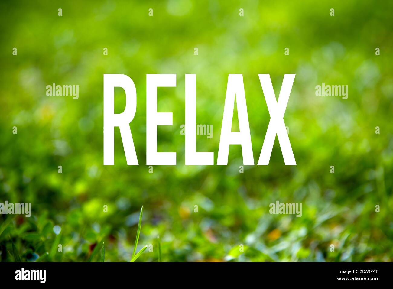 The word relax on green grass garden background. Positive energy and ...