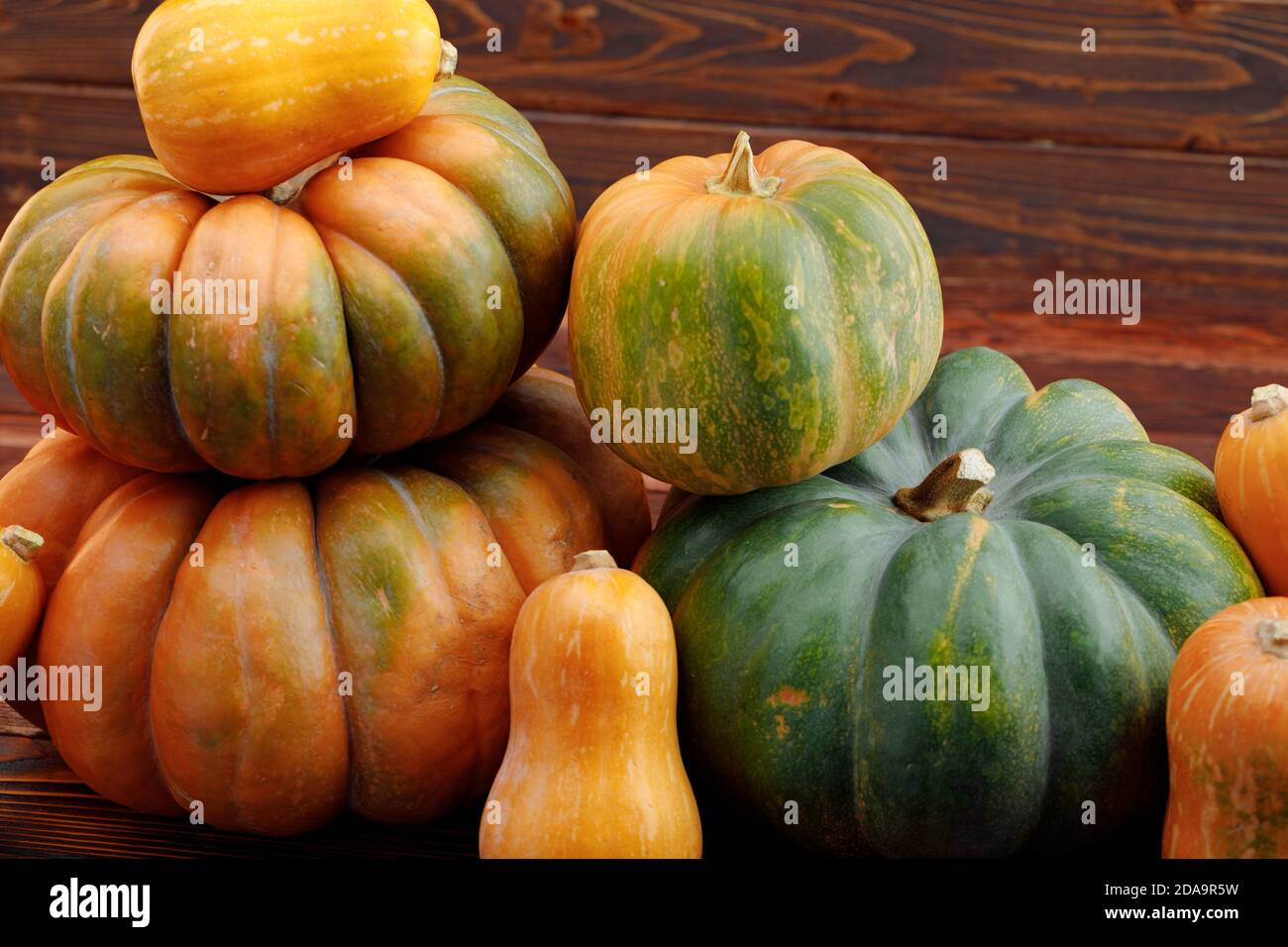 Colorful pumpkins on brown wooden background front view Stock Photo - Alamy