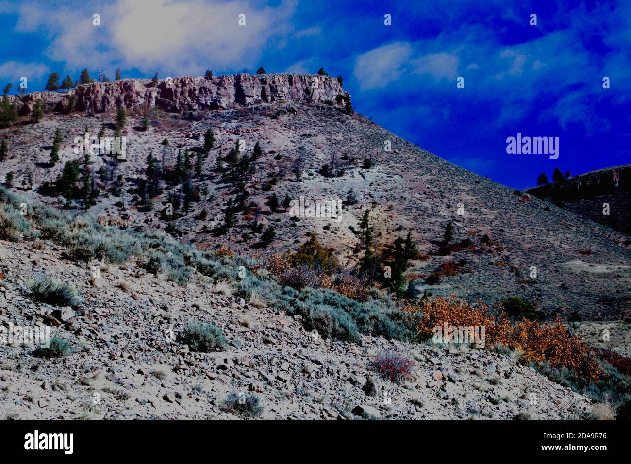 Mountain View in Colorado Stock Photo - Alamy