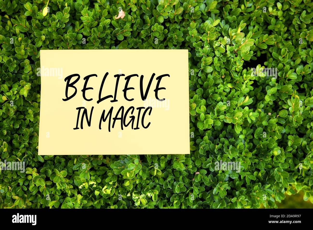 Other words for save our existence - vermontlasopa