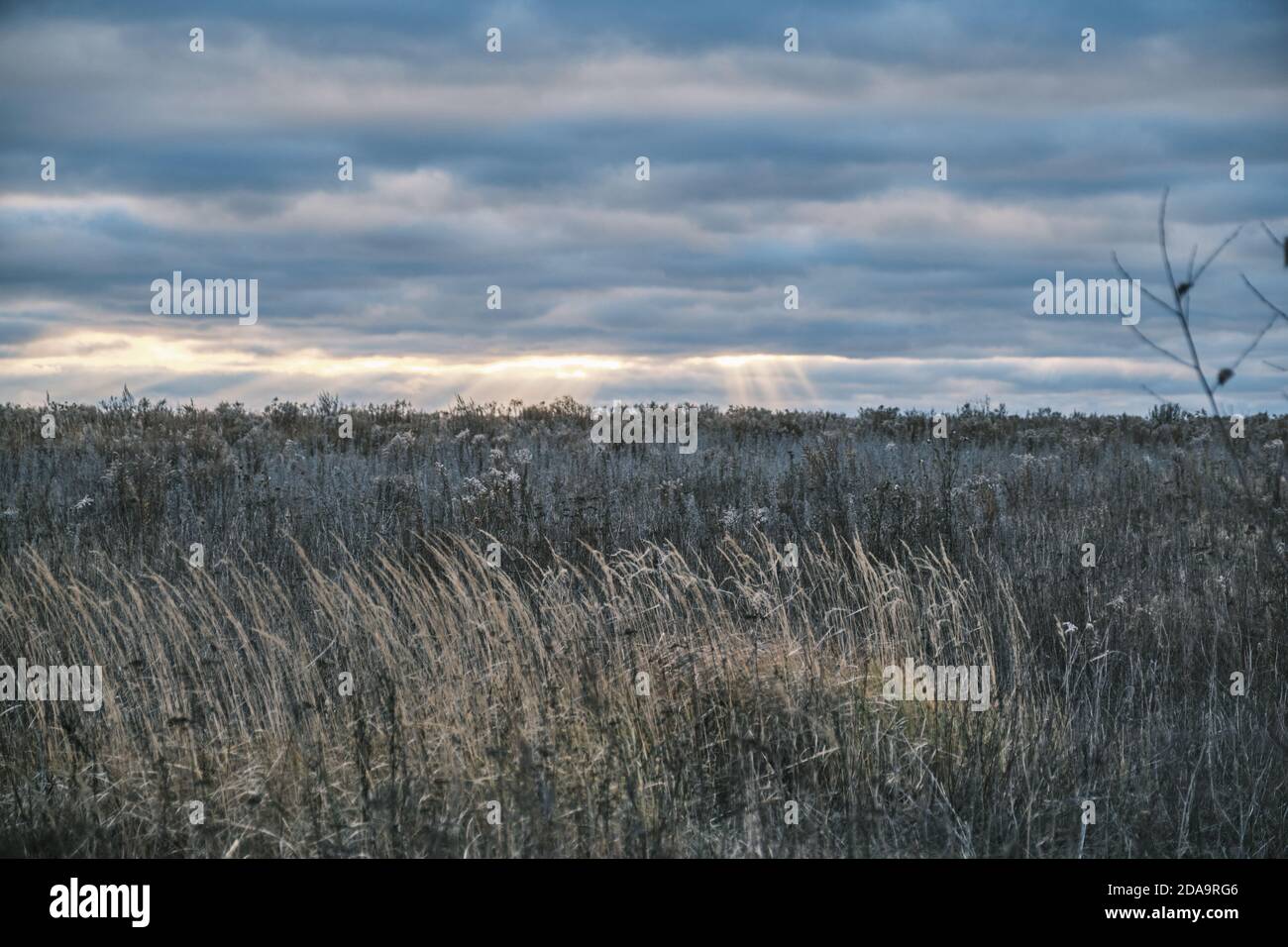 Beautiful stormy heavy sky with clouds and sun rays. Beautiful meadow ...