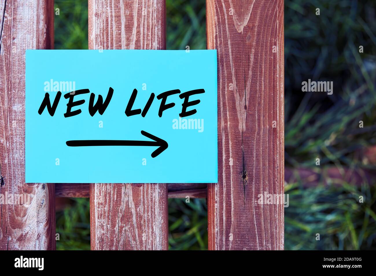 Beginning of new life hi-res stock photography and images - Alamy