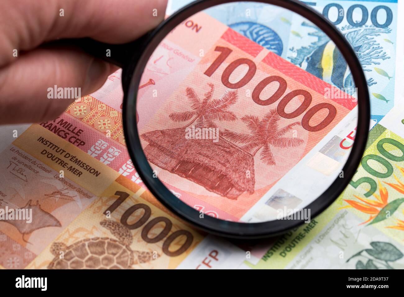 French Pacific Territories Francs in a magnifying glass Stock Photo - Alamy