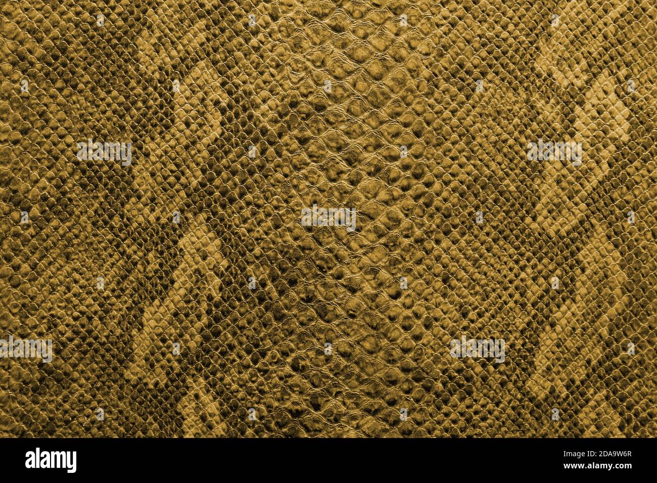 the texture of snake skin Stock Photo - Alamy