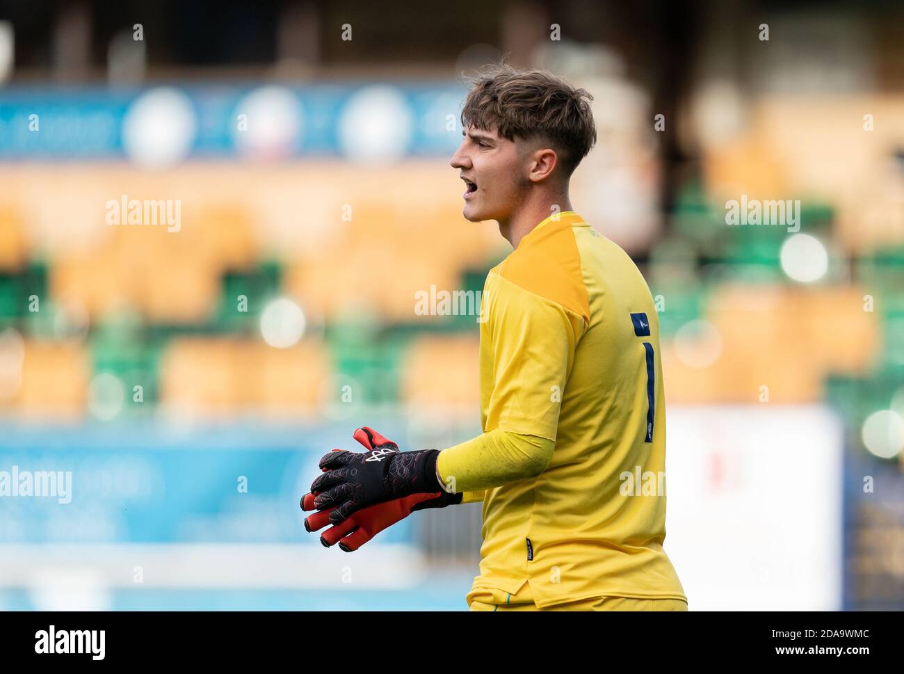 High Wycombe, UK. 10th Nov, 2020. Goalkeeper Cameron Plain of AFC ...